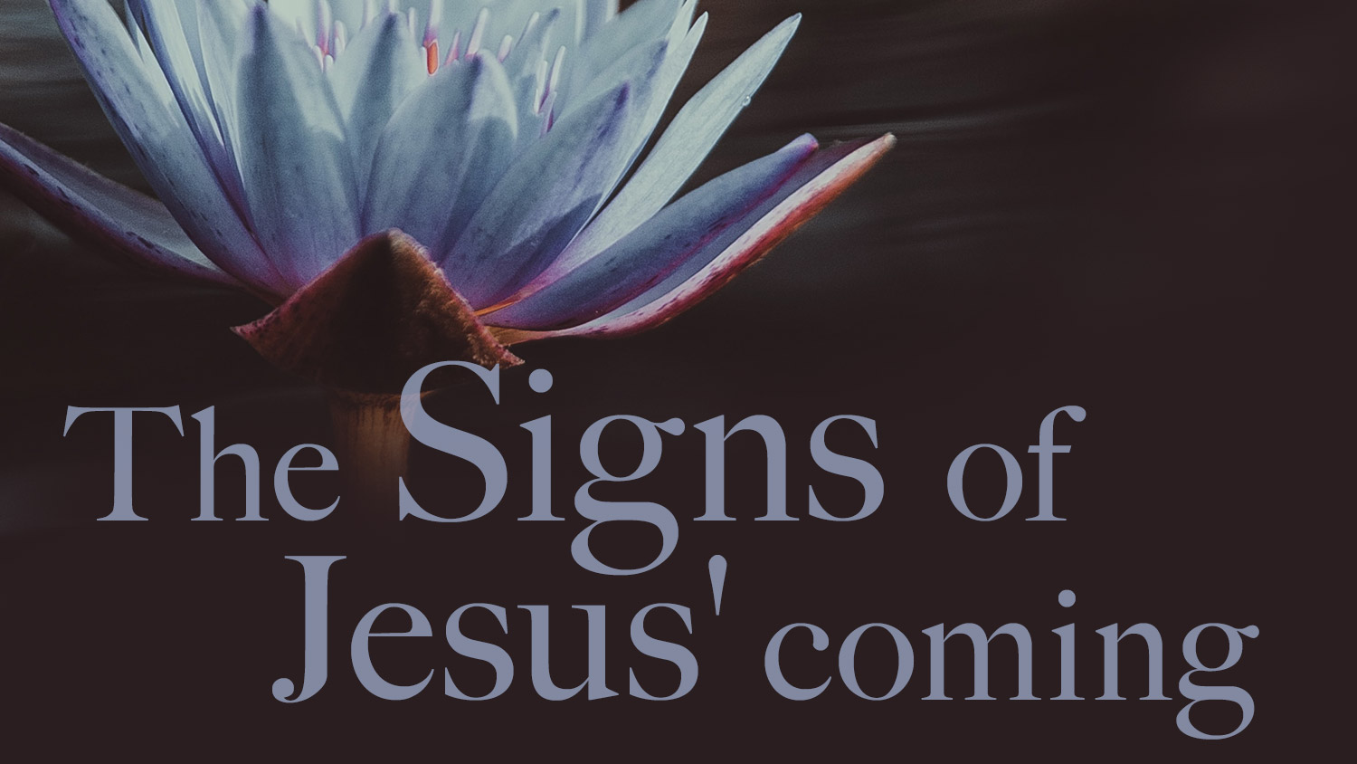 CfaN: The signs of Jesus' return